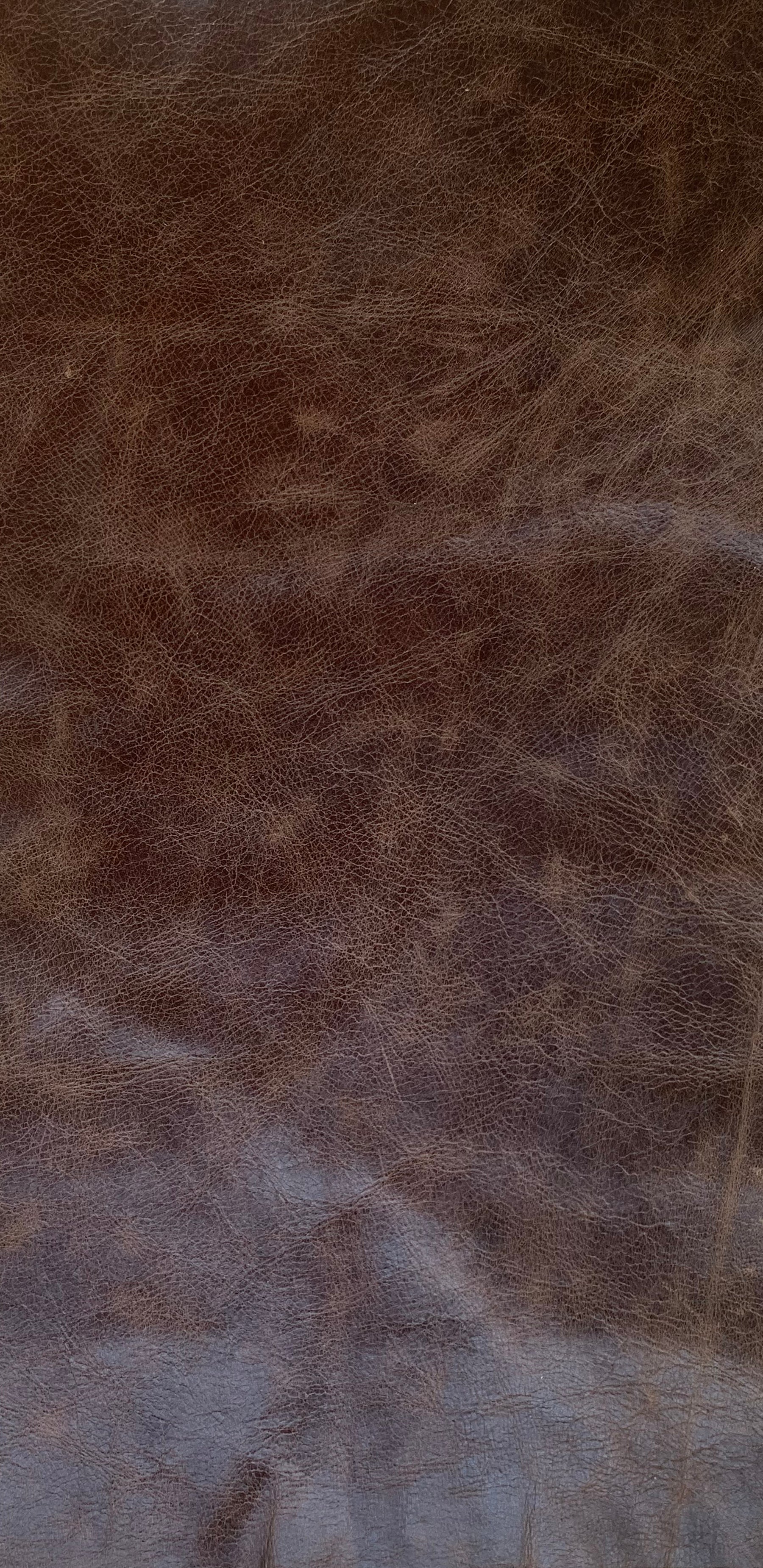 Kote Bear – LeatherSofaCo